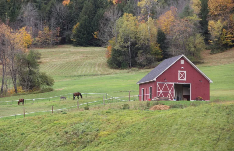The Ultimate Guide on How to Build a Barndominium